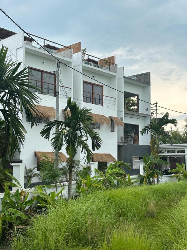 SABI SABI – DAVID THOMPSON PROJECTS